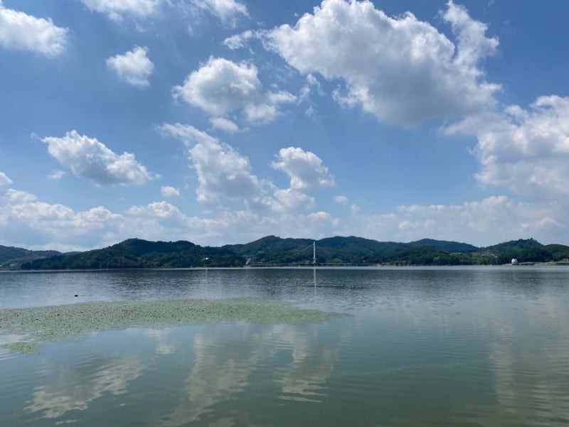 충남 예산 가볼만한곳 예당호 낚시 예당 무지개좌대 출렁다리뷰 좌대 B타입 주차 네이버 블로그