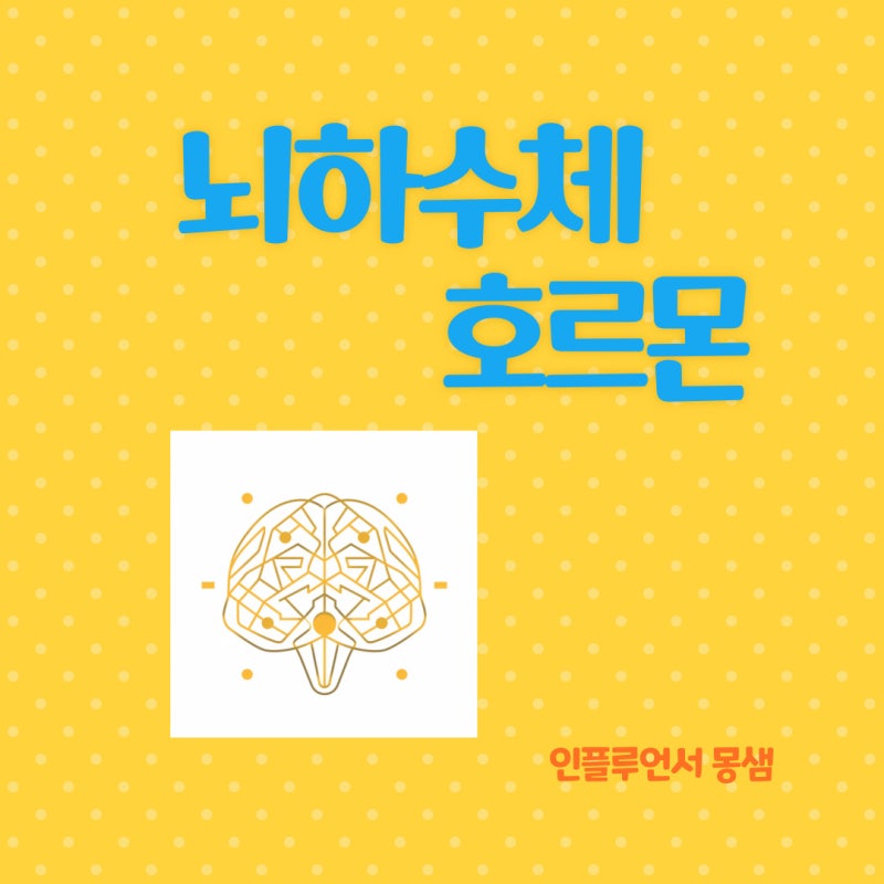 뇌하수체 호르몬전엽 후엽 기능저하증 선종 종양 네이버 블로그