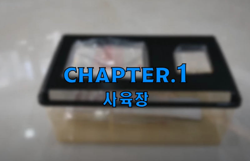 서울 구로 파충류 샵 본격 레오파드 게코를 알아보자 기본 정보 및 사육 정보 암수 구별 도심 속 도마뱀 네이버 블로그