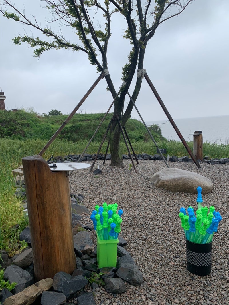 전남 영광 보리카페 영광 백수해안도로 카페 보리 전남 영광 예쁜 카페 오션뷰 카페 추천 네이버 블로그