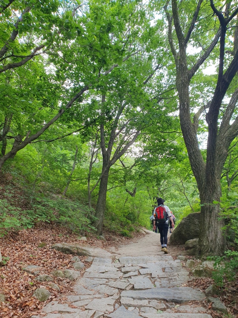 북한산등산코스 북한산성 탐방지원센터에서 완만한길로 백운대정상 등산 : 네이버 블로그