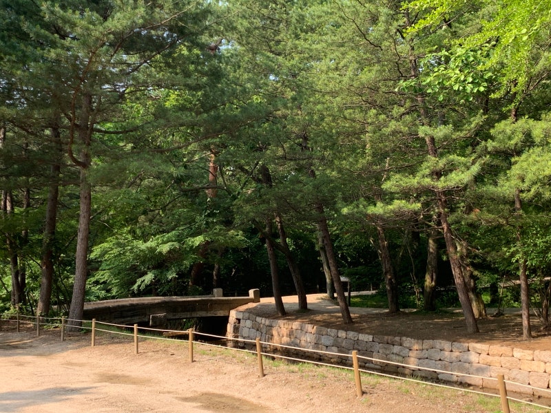 경기도 구리 가볼만한곳 동구릉 조선왕릉 숲길 개방 둘레길 산책 입장료 주차 네이버 블로그