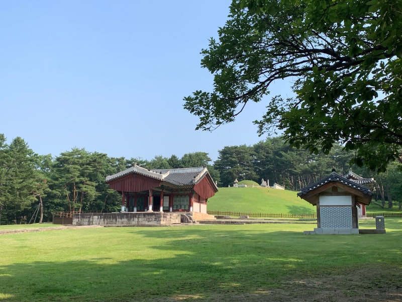 경기도 구리 가볼만한곳 동구릉 조선왕릉 숲길 개방 둘레길 산책 입장료 주차 네이버 블로그