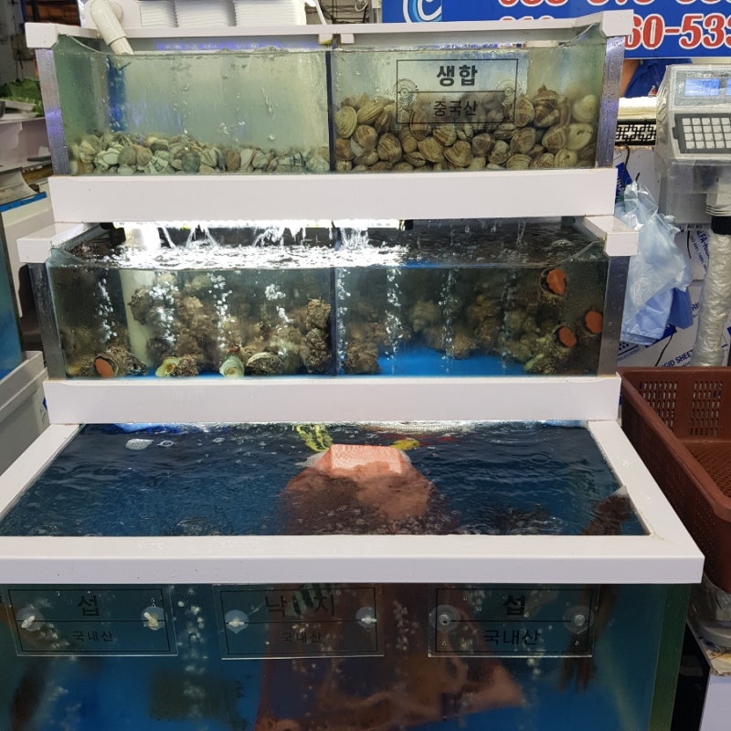 삼척 회맛집 중앙시장 산오징어회 삼척대왕횟집 네이버 블로그
