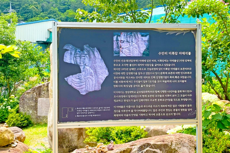 김해 수국 축제가 열린 대동 수안마을주차장 라벤더 대나무숲 개화상황 네이버 블로그