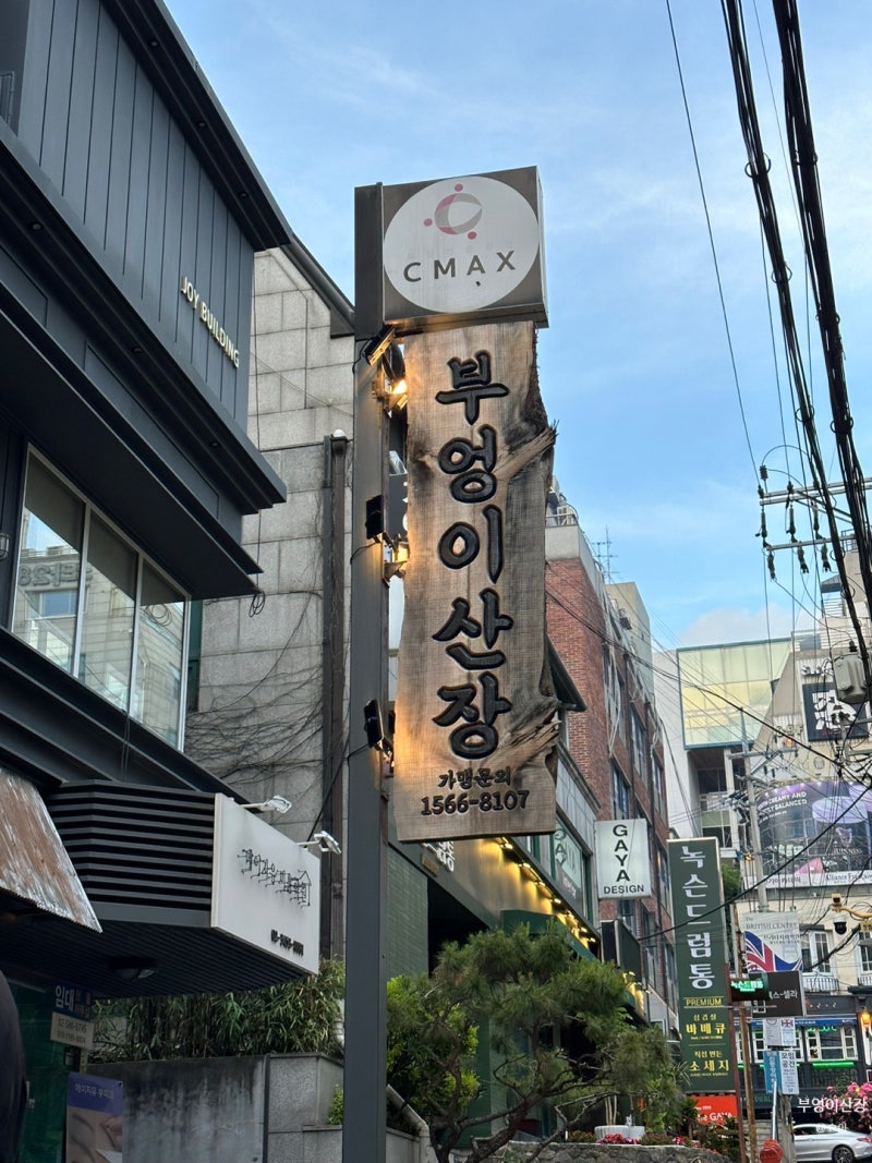 체크인 11 강남역 안주 맛있는 술집 부엉이산장 강남점 네이버 블로그