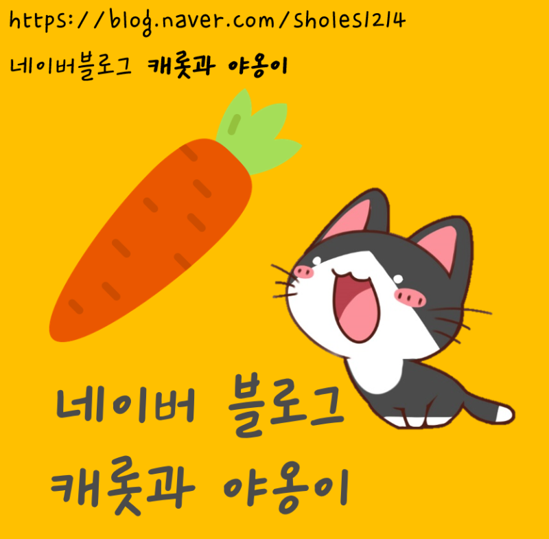 반도체 포토공정_ PR(포토레지스트) 성분, 원리, 종류(Positive, Negative PR), EUV PR의 특징 ...