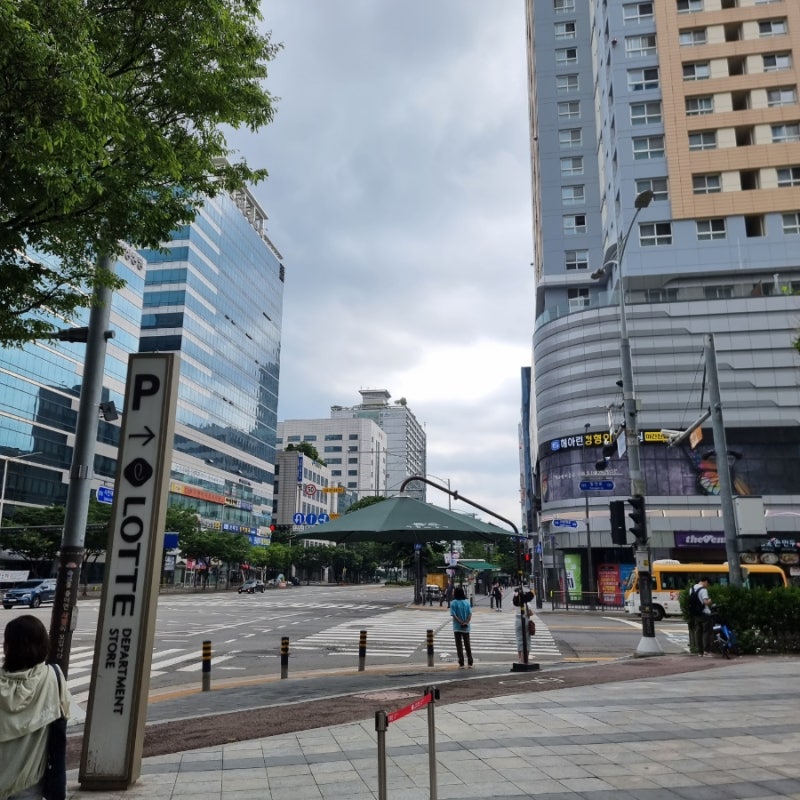 임장일지 안양 평촌 범계역 상권 목련3단지 우성아파트 목련2단지 선경아파트 임장후기 네이버 블로그