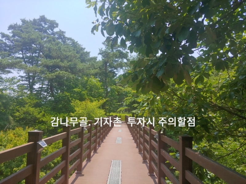 감나무골 기자촌 재개발 지역 일반분양 주의점 네이버 블로그