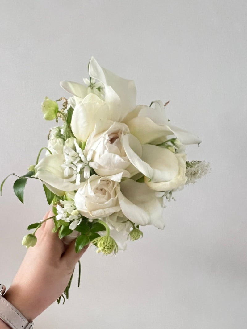 코니타x바이몽슈슈 일주일 모아보기 ̈ : 네이버 블로그