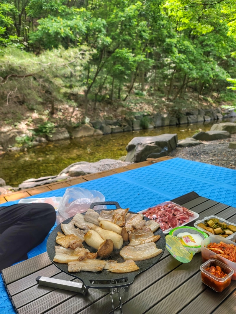 충청남도금산 대전근교 여름 물놀이 계곡 추천 남이자연휴양림 평상 이용 자세한 후기 네이버 블로그