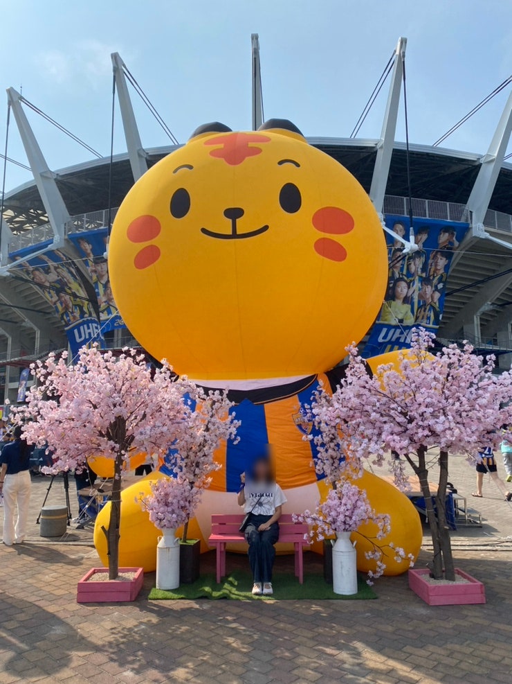 울산 문수축구경기장 울산현대 K리그 스탠딩석 S구역 직관후기 주차장 예매 좌석 매점 네이버 블로그