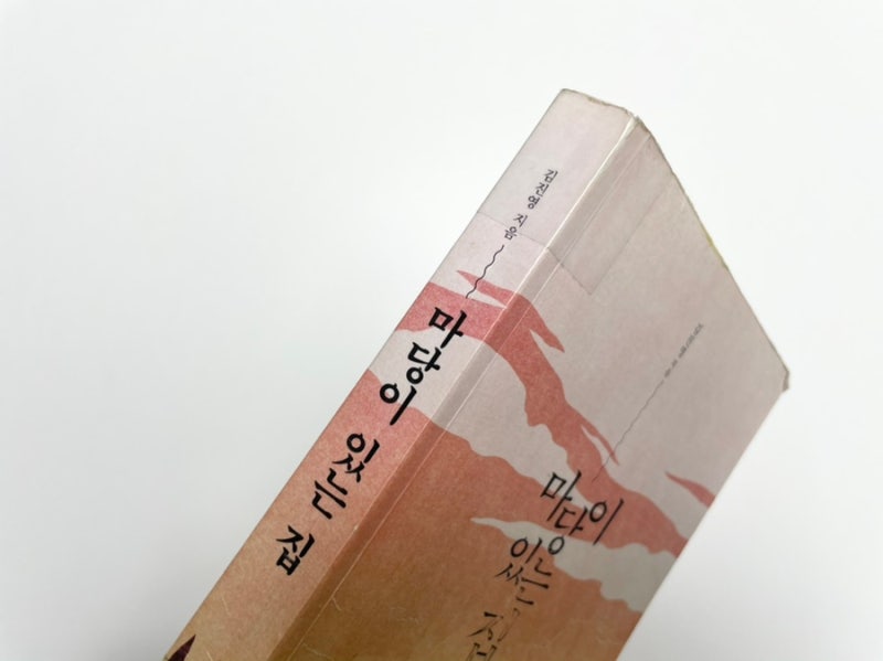 마당이 있는 집 책 원작소설 등장인물 줄거리 결말 후기 김진영스포있음 네이버 블로그