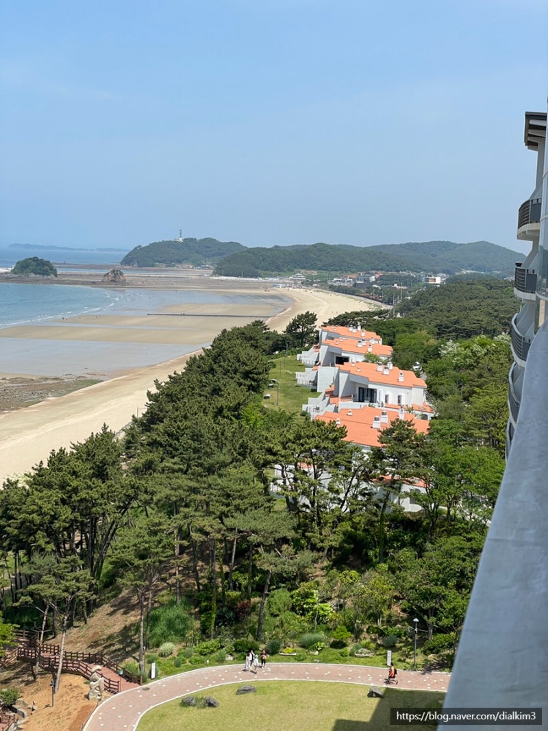 안면도태안 오션뷰 아일랜드 리솜 오션타워 S20 리조트 후기 Ft 안면도 수산시장 네이버 블로그