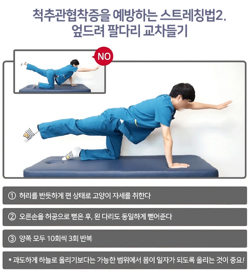 척추관협착증 증상 및 치료방법은 신경성형술 풍선확장술 신경차단술 Feat 척추센터 서진석 원장 네이버 블로그