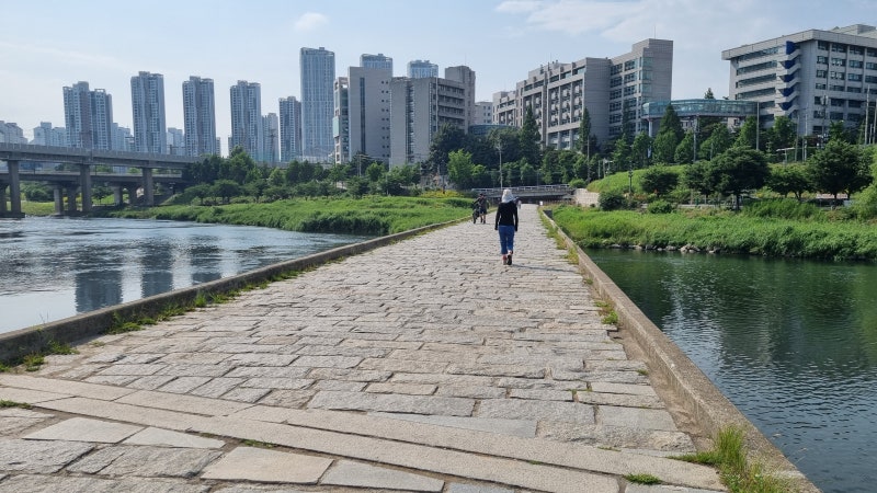 역사와 함께 하는 걷기 좋은 길 성동구 중랑천 살곶이다리와 송정제방을 걷다 네이버 블로그
