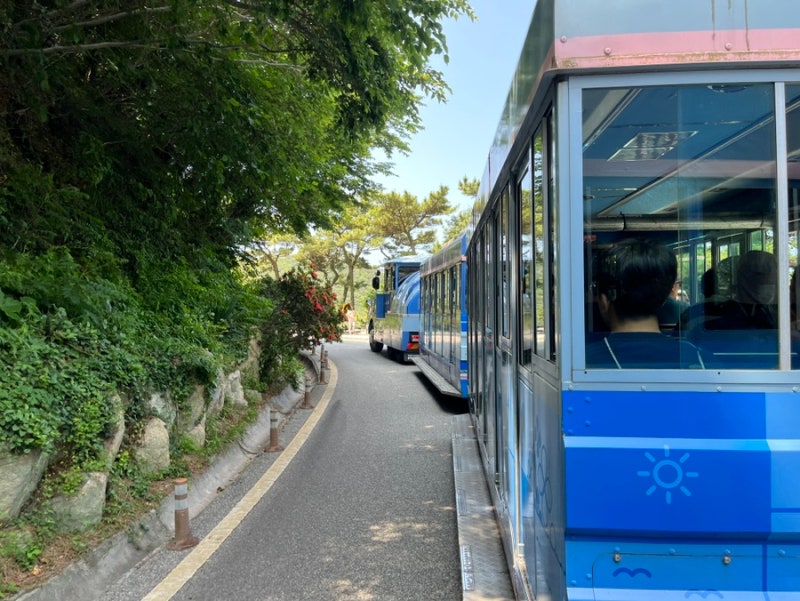 태종대 다누비열차 타고 부산 바다 전망대 태종사 수국 보러가기 네이버 블로그