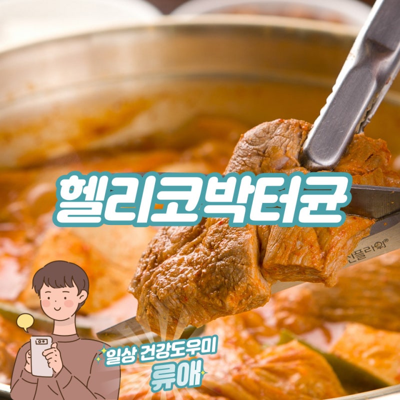 헬리코박터균 전염 경로 및 제균 치료 방법 치료 음식 및 부작용 정보 네이버 블로그