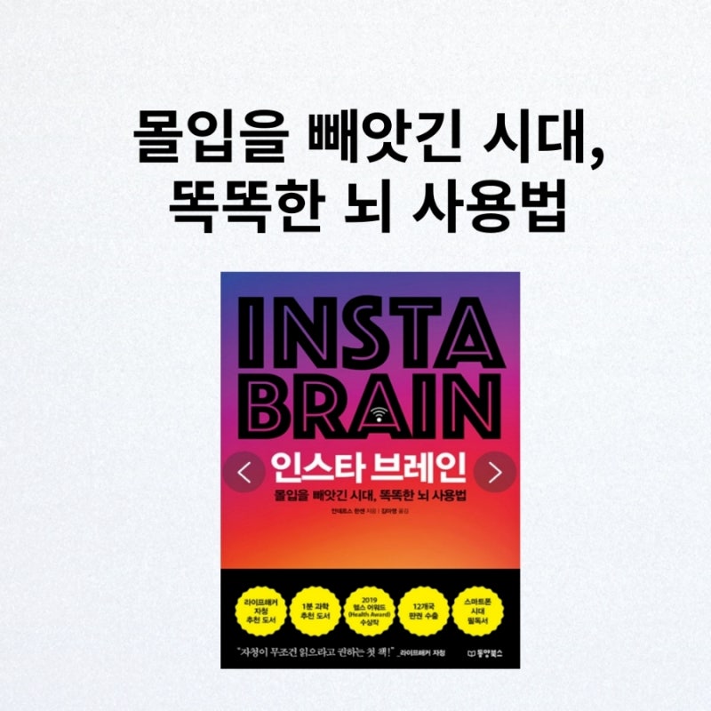 인스타브레인 몰입을 빼앗긴 시대 똑똑한 뇌 사용법 몰입집중력 향상법 네이버 블로그
