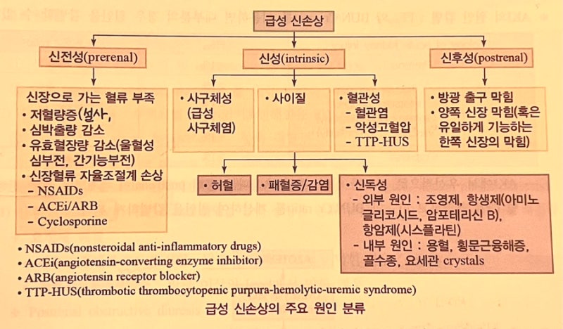 신장내과 콩팥질환의 접근단백뇨 혈뇨 신장 조직검사 적응증 Aki급성신부전 Ckd만성신부전 네이버 블로그