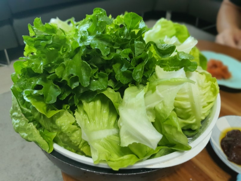 풀아줌마 추천 추천하는 가장 부드러운 포기상추 버터헤드입니다 한잎씩 떼내어 쌈드시면 고급진맛 샐러드 샌드위치