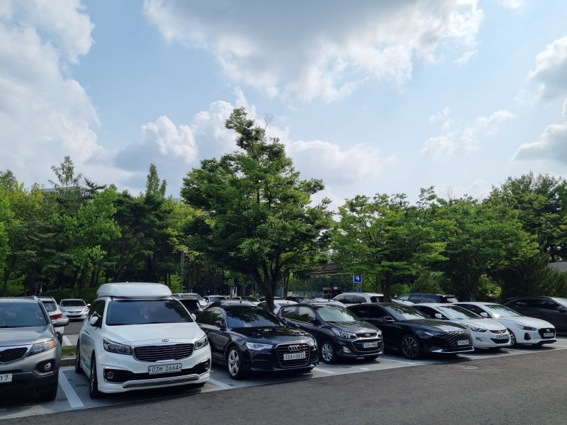 대전 비오는날 갈만한곳 실내 이색 데이트 코스 볼거리 추천 대전시립미술관 열린수장고 이건희컬렉션 전시 주차 네이버 블로그