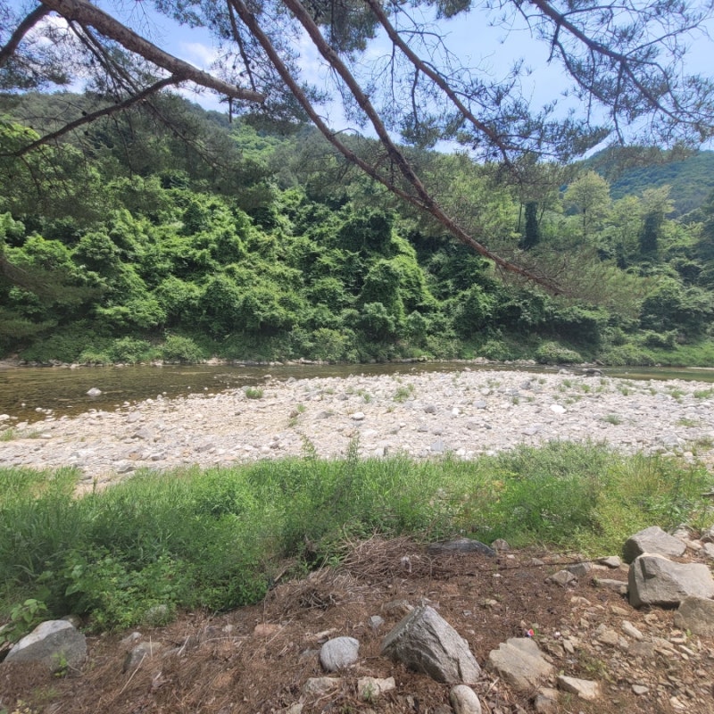 살둔마을 생둔분교캠핑장 홍천 캠핑장 추천 시원한 계곡 물놀이 한사바리 네이버 블로그
