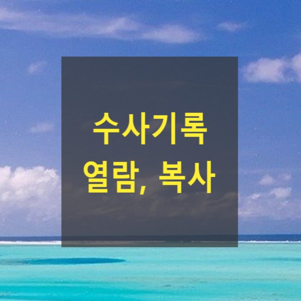수사기록열람 복사등사고소인 피고소인 피의자 피고인 변호인의견서 고소장 판결문 경찰 검찰 공판 확정 사기