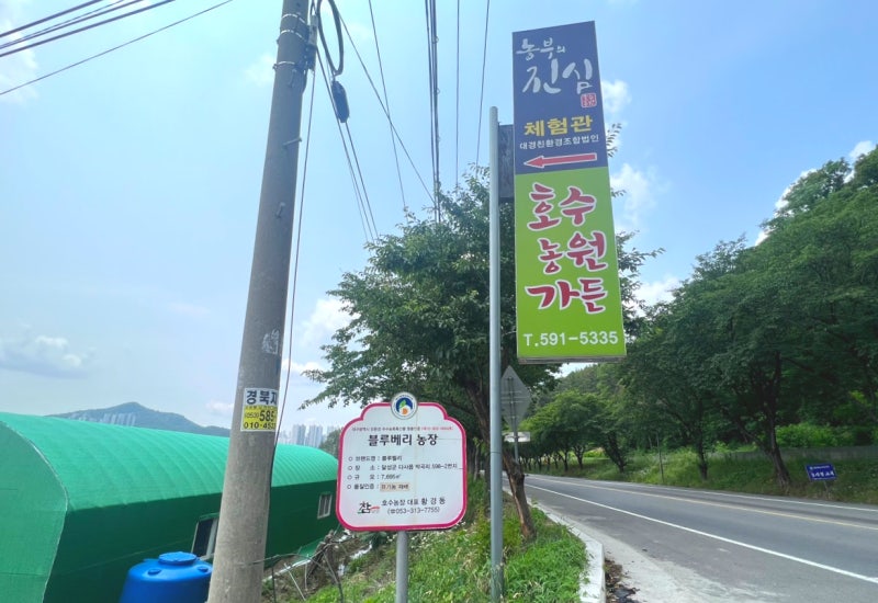 호수농원 대구 블루베리 체험 쿠킹 머핀만들기 아이와가볼만한곳 네이버 블로그
