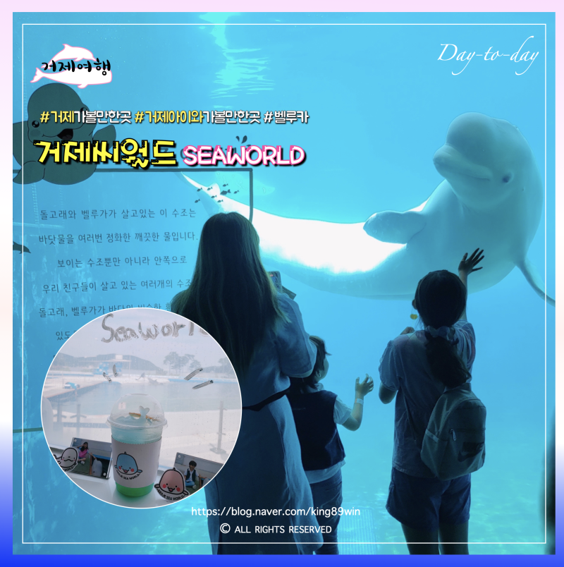 네이버 인플루언서