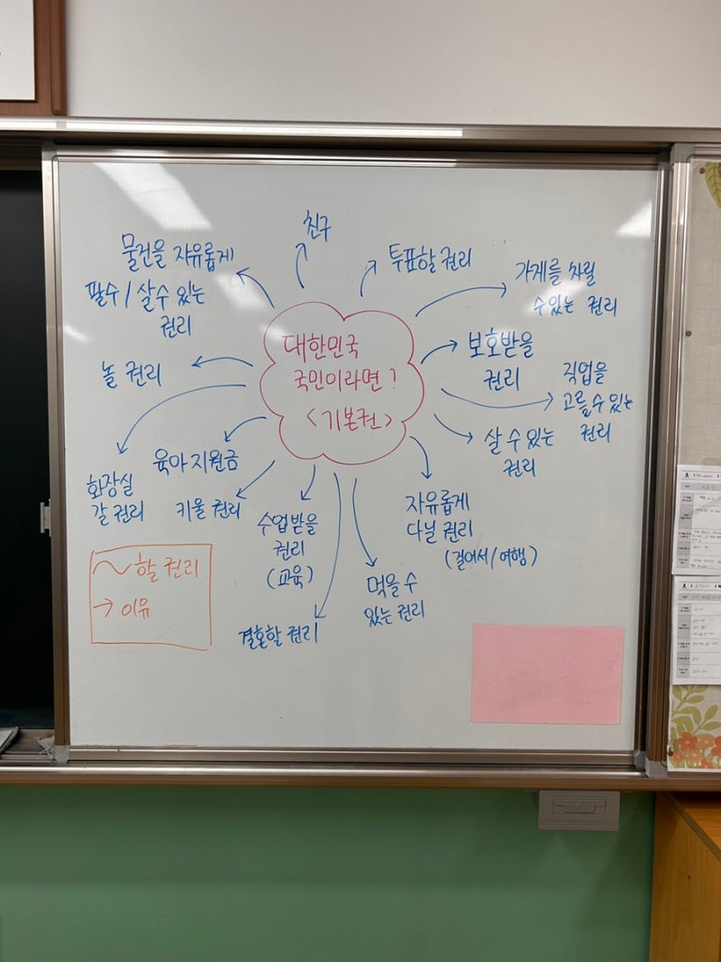 5 1 사회 인권 존중과 헌법 국민의 기본권 네이버 블로그