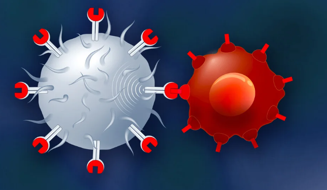 CAR-T세포의 원리 및 치료제 종류, 실제 암환자 치료 사례 등 : 네이버 블로그