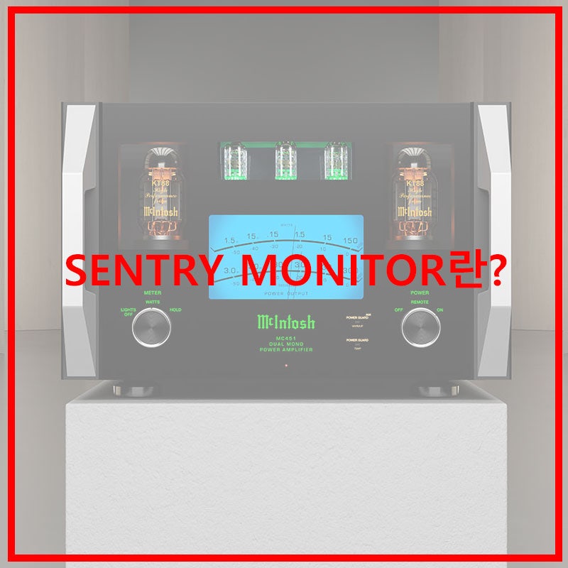 Q) Sentry Monitor 기능은 무엇인가요? : 네이버 블로그