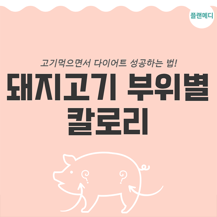고기 먹으면서 다이어트 돼지고기 부위별 칼로리 알기 단백질지방 함량까지 비교해보아요 네이버 블로그