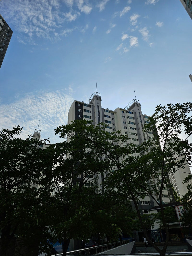 부산 화명동리버빌 아파트 세탁기 수도꼭지 슬림수전교체 비용과 수전 전문업체워시타워 그랑데 원바디 직렬설치치 네이버 블로그