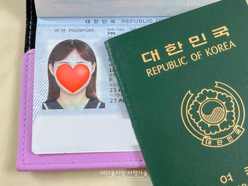 여권 재발급 신청 방법 준비물 갱신 기간 비용 가격 온라인 여권 사진 조건 눈썹 규정 네이버 블로그
