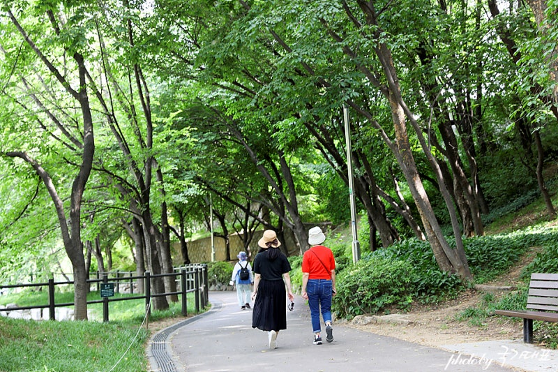 용산 가족공원 놀거리 용산 가볼만한곳 데이트 볼거리 네이버 블로그