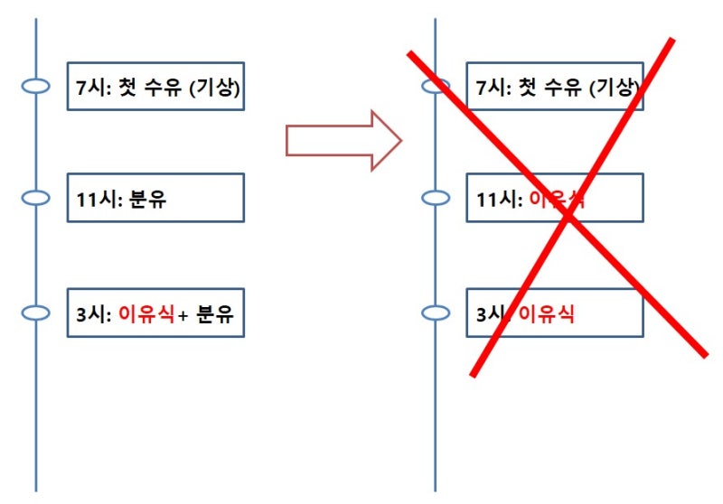 초기 중기 후기 이유식 스케줄 보충수유와 분리 수유 한끼 두끼 세끼 스케줄 종합 정리 네이버 블로그