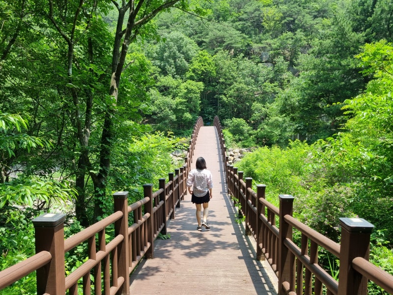충북 옥천 가볼만한곳장령산 자연휴양림 네이버 블로그