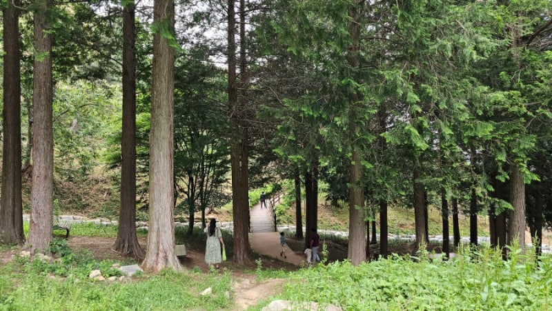 전북 정읍 아이와 가볼만한곳 정읍사문화공원 아양사랑숲 숲놀이터 찐후기 네이버 블로그