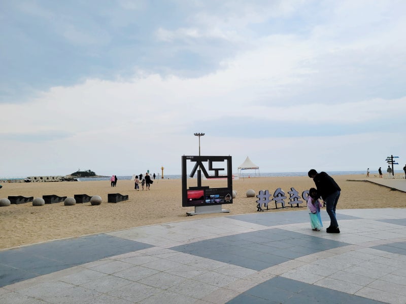 강원도 속초아이 대관람차예약 가격 시간 주차 속초여행 속초 아이와 가볼만한곳 네이버 블로그