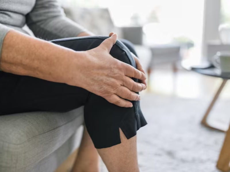 상어연골 콘드로이친 효능 알고 관절 관리할 때 선택 : 네이버 블로그