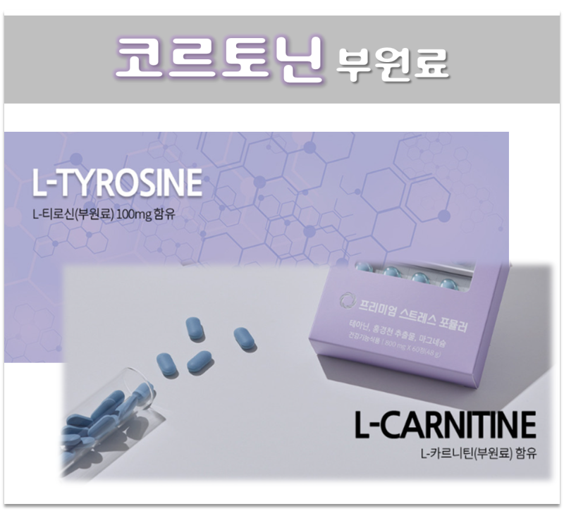 L테아닌 스트레스 영양제 코르토닌 홍경천 테아닌 마그네슘 원인 증상 네이버 블로그