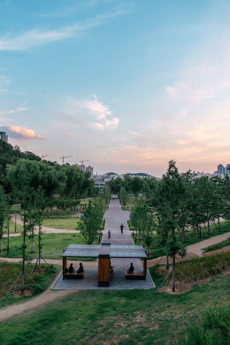 대구 데이트 코스 산책하기좋은곳 야경명소 대구대표도시숲 성당못 네이버 블로그