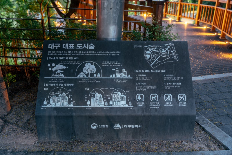 대구 데이트 코스 산책하기좋은곳 야경명소 대구대표도시숲 성당못 네이버 블로그