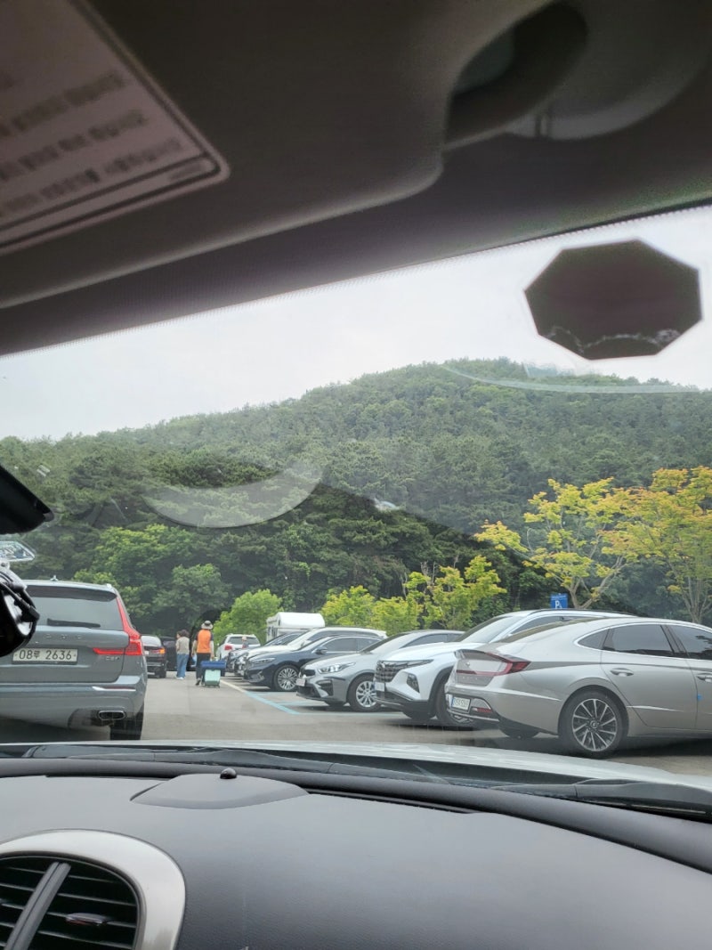 수리산 도립공원 숲속놀이터 계곡에서 가재잡기 네이버 블로그