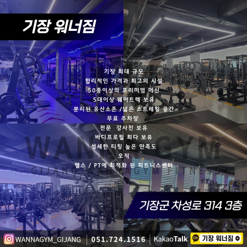 기장헬스 기장헬스장 기장피티 일광피티 직장인 바디프로필 Pt 후기 With 기장 워너짐 아라쌤 네이버 블로그