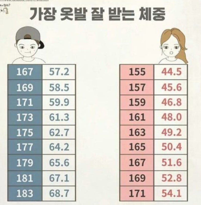 여자 남자 평균 키 신장 체중 몸무게 통계 미용체중 비교 Bmi 뜻 계산방법 네이버 블로그