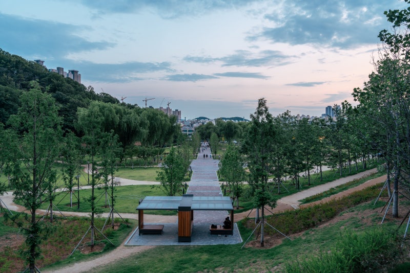 대구 데이트 코스 산책하기좋은곳 야경명소 대구대표도시숲 성당못 네이버 블로그