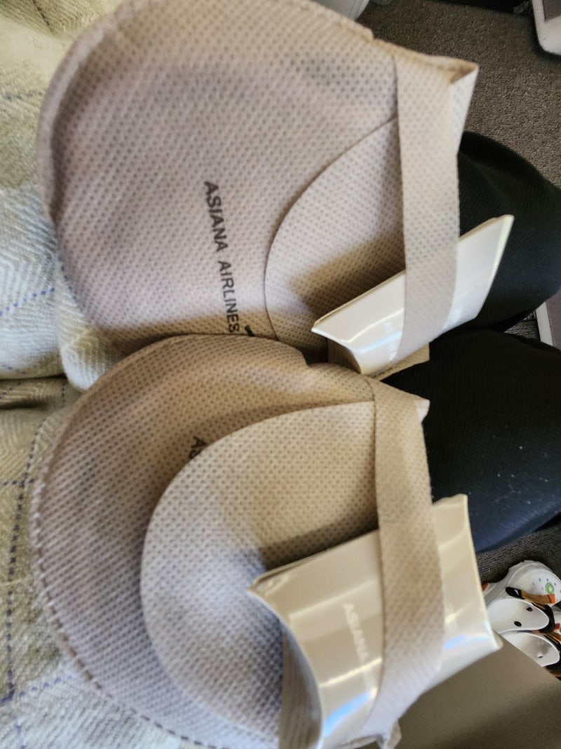 아시아나 비즈니스 OZ733 베트남 하노이 비즈타고 쑹 (A-350)/OZ730 아시아나우등고속타고온 후기/기내식과 라면맛집 ...